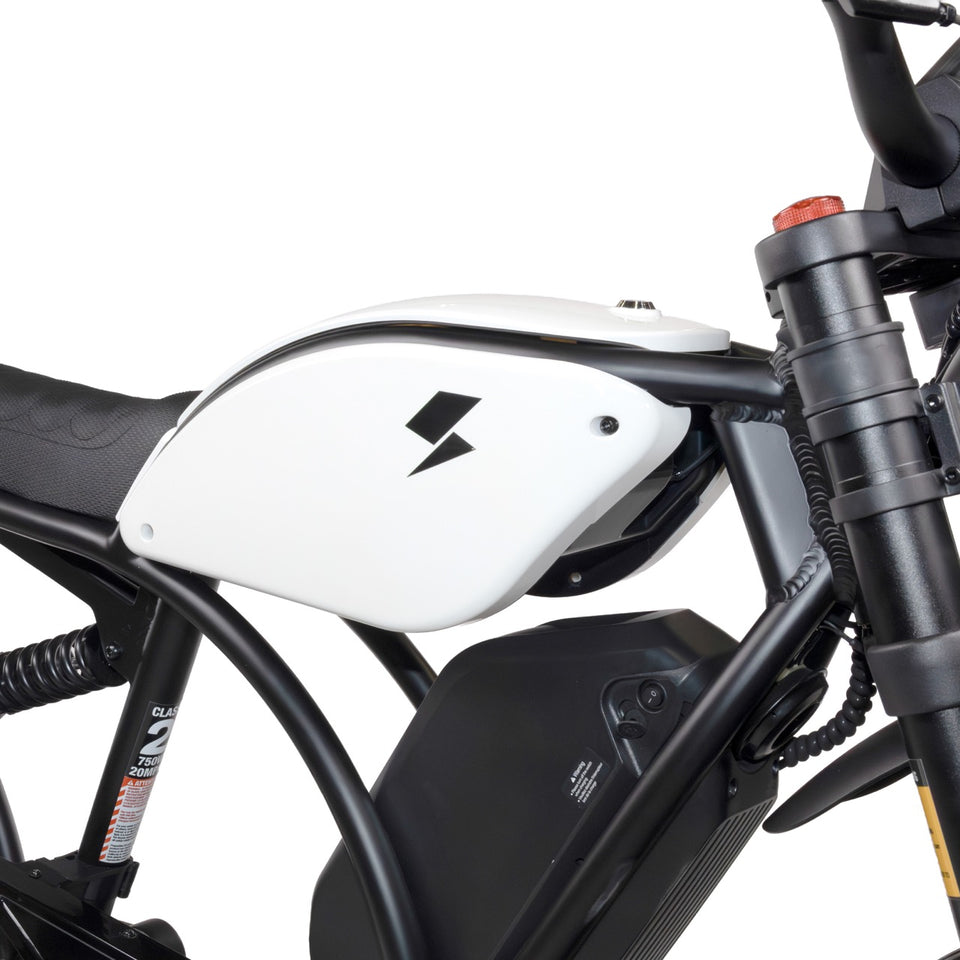 Brat Colorway Kit with Chain Guard – BrateBike